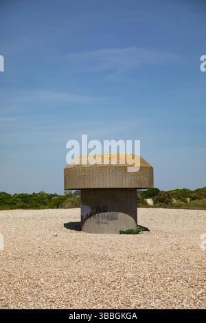 The Browndown Mushroom Stock Photo - Alamy