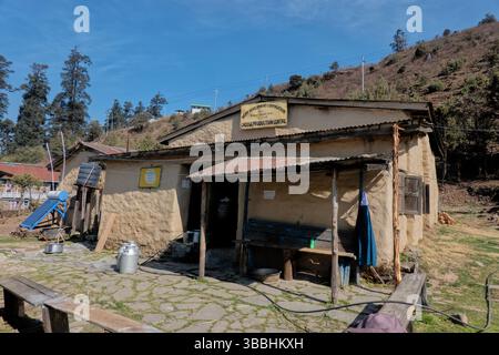 Cheese factory in Sing Gompa, Langtang National Park, Sing Gompa, Nepal ...