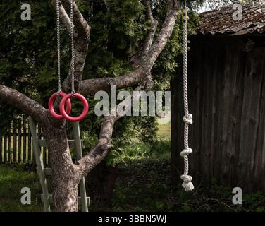 Gymnastic rings hanging from a wooden beam outdoors with bokeh Stock ...