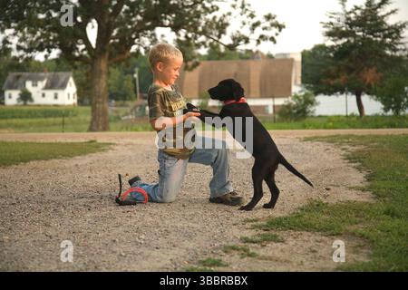 Playing with puppy at the farm. Delano, Minnesota Stock Photo - Alamy