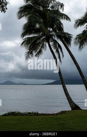 Sunset on Cardwell beach with Hinchinbrook Island on the horizon Stock ...