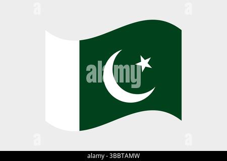 Flag of Pakistan. Pakistan flag official colors and proportion digital ...