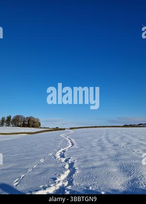 Snow covered fields in Northumberland, UK Stock Photo - Alamy