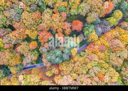 Beautiful autumn panoramic landscape in Scotland, wet weather outside ...