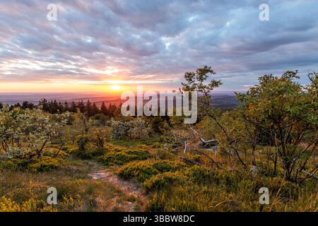 Sonnenuntergang im Taunus Die Abendsonne geht am Großen Feldberg im ...