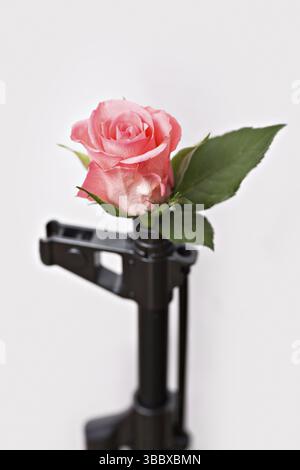 Close up shot of a Kalashnikov submachine gun with a flower Stock Photo ...