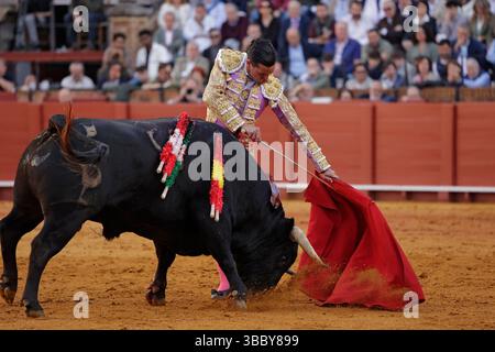 Seville, April 30, 2025. Bullfight held at La Maestranza for ...