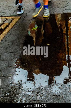 Wet puddle on a sidewalk in New York City Stock Photo - Alamy
