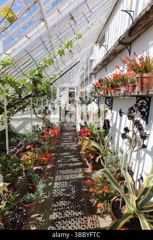 Lost gardens of Heligan, St Austell, Cornwall, UK. 16th November 2023 ...