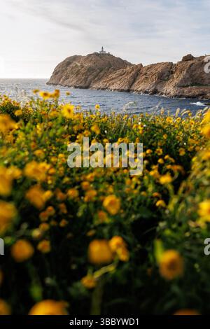 22 April 2025, France, L·ile-Rousse: View of L'Île-Rousse on the island ...