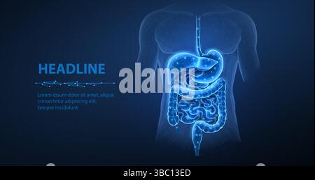 Abstract wireframe intestinal human digestive system. Gut health, bowel ...