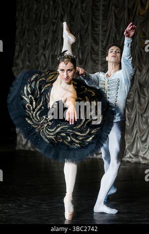 bright and fascinating emotions of ballet dancers' performances with ...