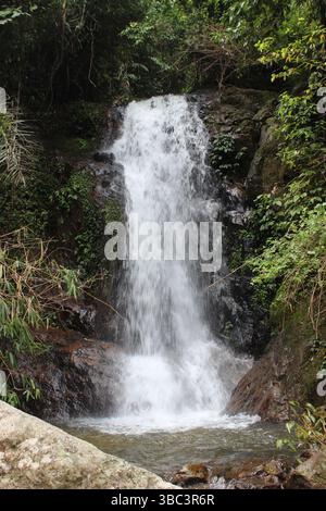 View of a small waterfall flowing around big rocks with small plants ...