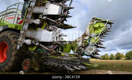 Tractor with chopper and tongs harvesting the maize crop in the maize ...