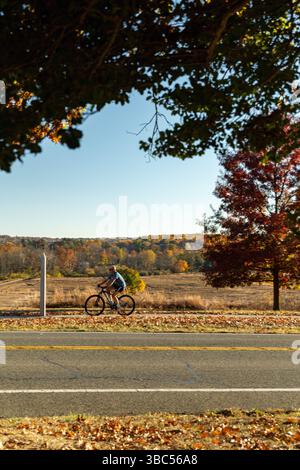 Bicyclist riding down a park path Stock Photo - Alamy