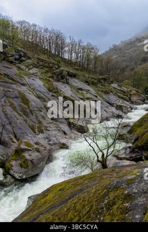 Mountain stream cascading through granite rocks and autumn vegetation ...