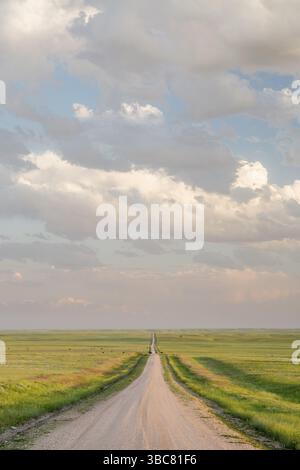 Rural road in eastern Colorado prairie in springtime, Pawnee National ...