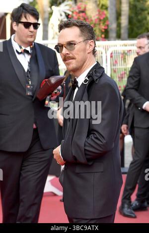 Benedict Cumberbatch bei der The Phoenician Scheme Premiere in Cannes ...