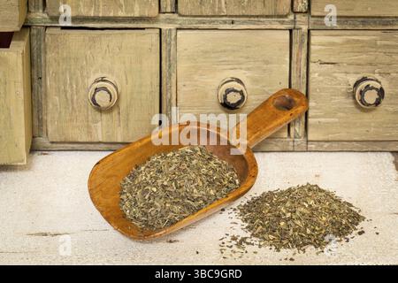 Peppermint herbal mint tea loose in wooden scoop shovel Stock Photo - Alamy