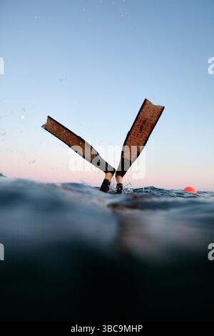 Freediving on the WIld Dayrell Stock Photo - Alamy
