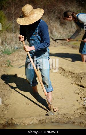 Farmers Digging in the mud to create Rice Paddies Stock Photo - Alamy