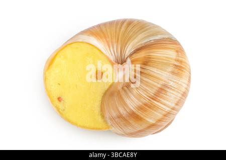 Dijon escargot snail filled with butter, garlic, Dijon mustard and ...