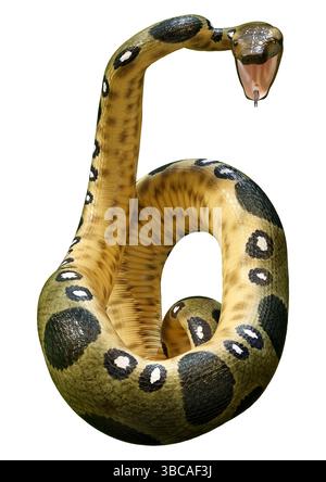 3D rendering of a green anaconda or Eunectes murinus or common anaconda ...