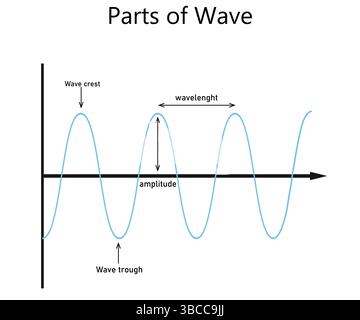 Wave Basic Properties. The Parts Of Wave. Vector Illustration Stock ...