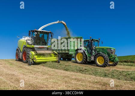 Silage harvesting in Reenascreena, West Cork, Ireland Stock Photo - Alamy