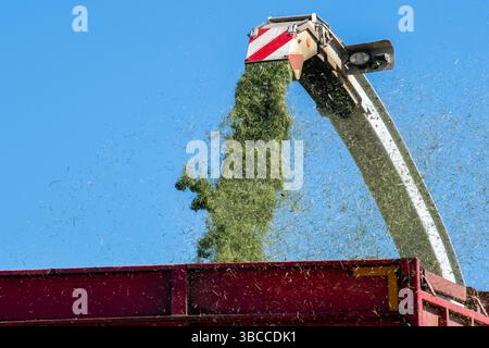 Silage harvesting in Reenascreena, West Cork, Ireland Stock Photo - Alamy
