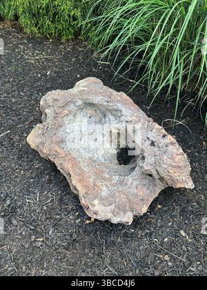 Pot rock - volcanic rocks with holes - in a garden before being filled ...
