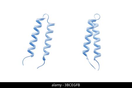 Biological curve protein structure, 3d rendering. 3D illustration Stock ...