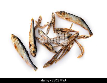dried sardine in front of white background Stock Photo - Alamy