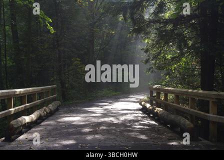 Wet ground bridge, wet ground bridge Stock Photo - Alamy