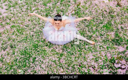 Field viewed from above Stock Photo - Alamy