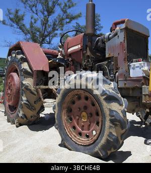 Agricultural tractor parked on sandy tropical beach surrounded by palm ...