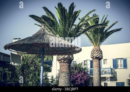 A straw parasol and palm tree in the blue sky background. Summer beach ...