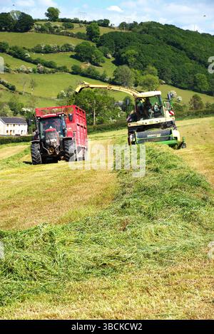 Krone Forager with Case Tractor & Silage trailer Stock Photo - Alamy