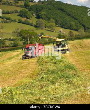 Krone Forager & Case Tractor Stock Photo - Alamy