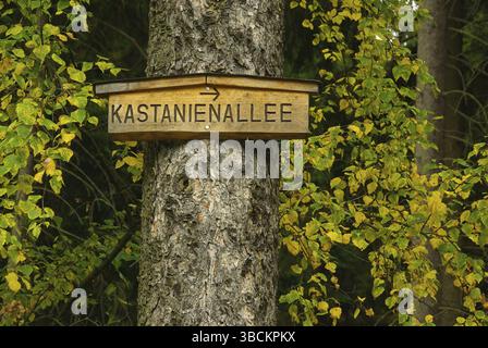 Chestnut avenue sign, chestnut walk sign Stock Photo - Alamy