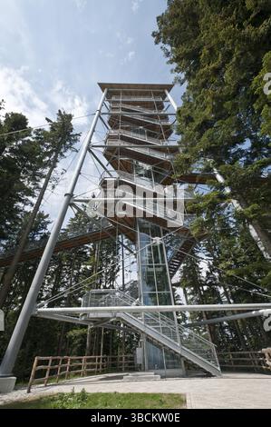 Treetop path, adventure playground, nature discovery trail, Scheidegg ...