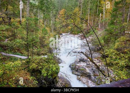roaring Wimbach stream, start of the Wimbach gorge in the Wimbach ...