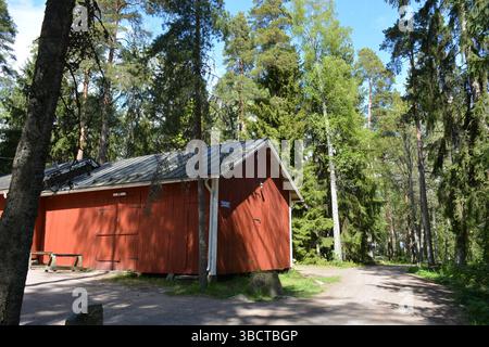 Hyljelahti area in Espoo, Finland. Thick impenetrable green forest with ...