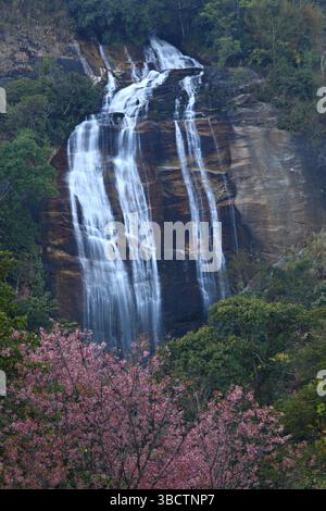 Beautiful nature of Siri Phum Waterfall on Doi Inthanon National Park ...