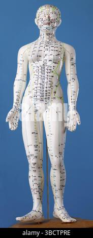 Female model figure with markings and Chinese characters, acupuncture ...