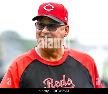 Cincinnati Reds manager Terry Francona looks on from the dugout during ...