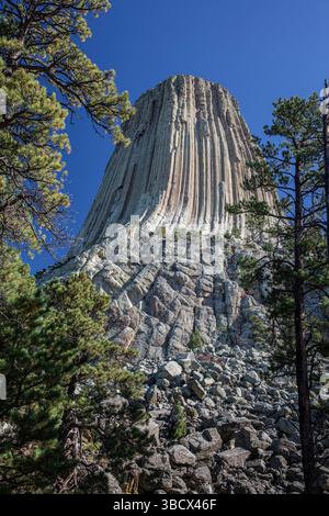 Devil's Tower National Monument, a rare form of igneous rock, rises out ...