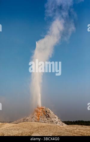 Geysers spew boiling water and steam into the air Stock Photo - Alamy