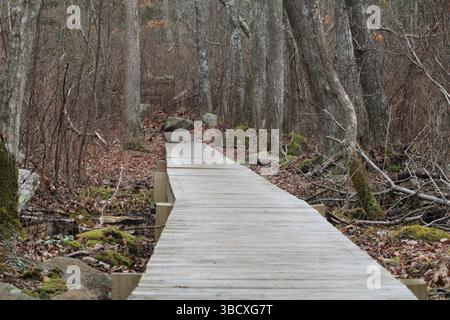 A Northeastern shoreline pathway, with timbered boards, offers a serene ...