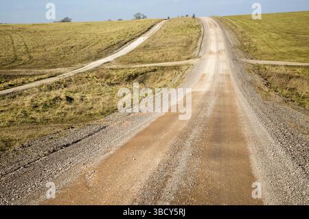 Unsurfaced road track crossing chalk grassland on Salisbury Plain, near ...